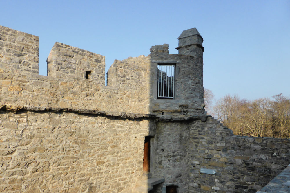 Exploring Ireland's Ross Castle | One Trip at a Time